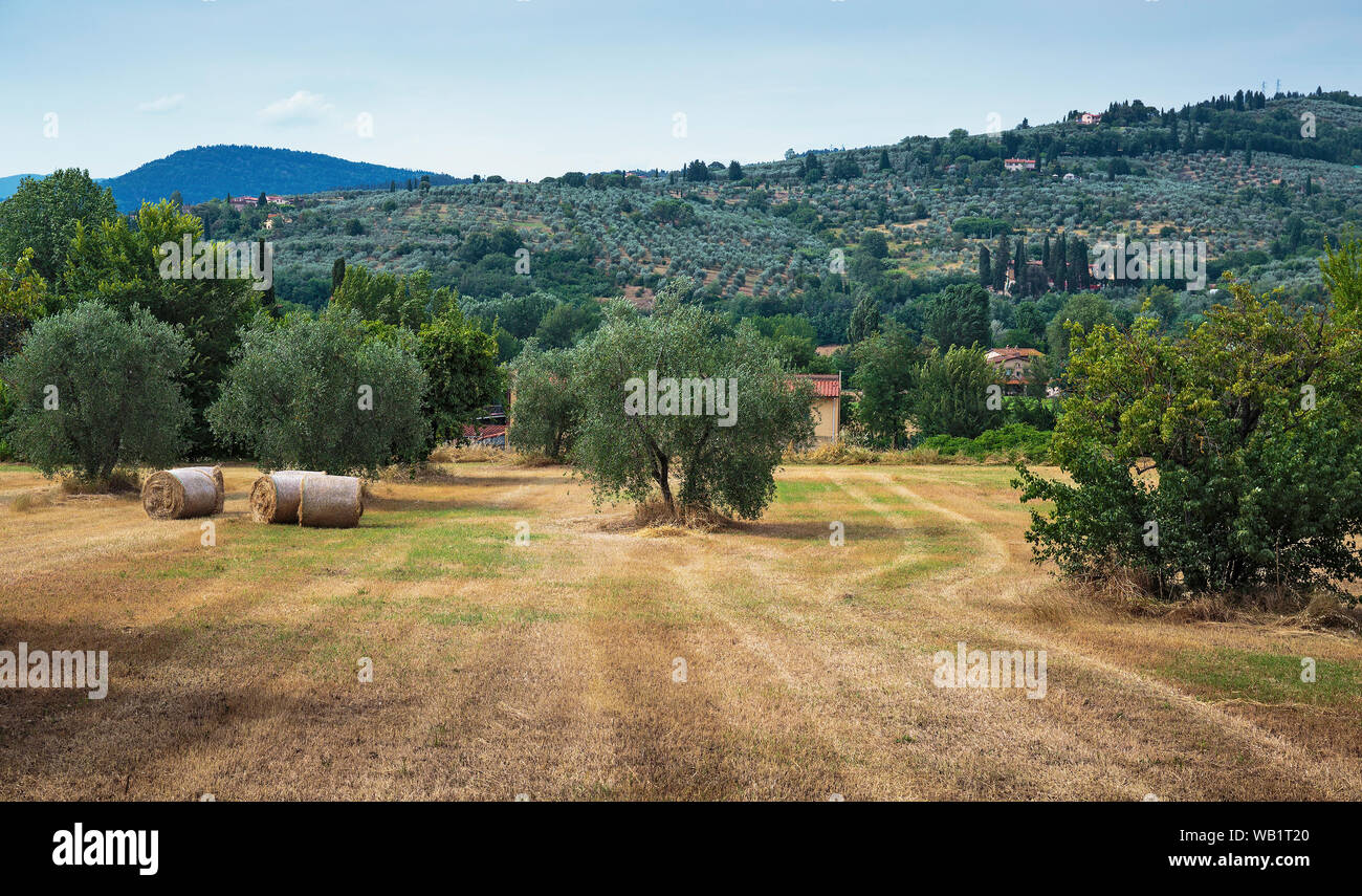 Italian countryside landscape in Tuscany Stock Photo - Alamy