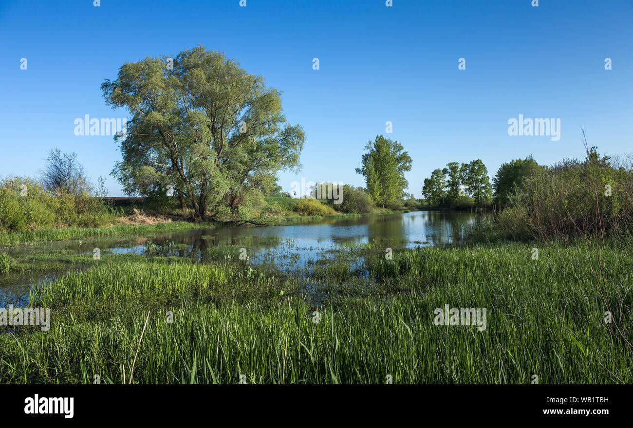 Marshy flood plain hi-res stock photography and images - Alamy