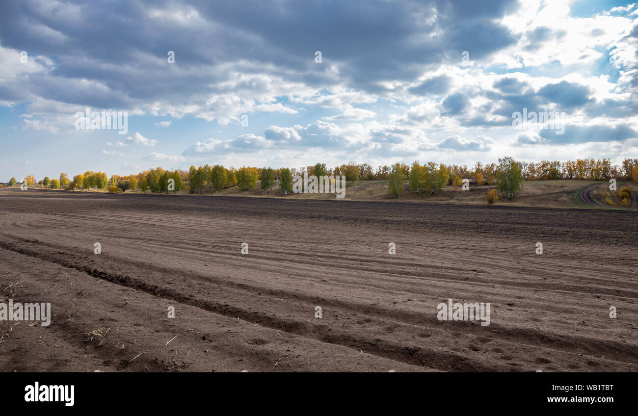 Farmhouse on arable land hi-res stock photography and images - Alamy