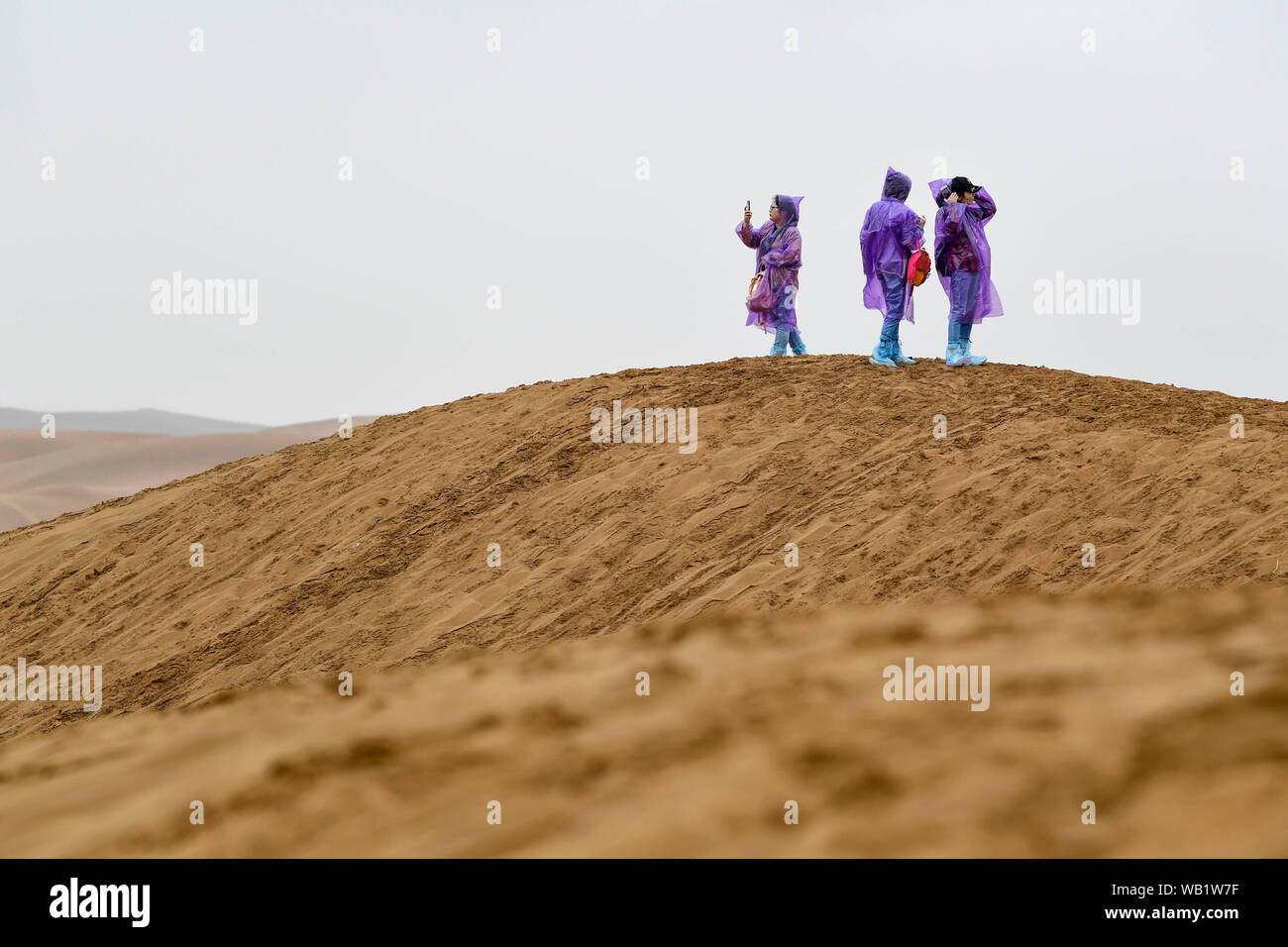 Zhongwei, China's Ningxia Hui Autonomous Region. 23rd Aug, 2019 ...