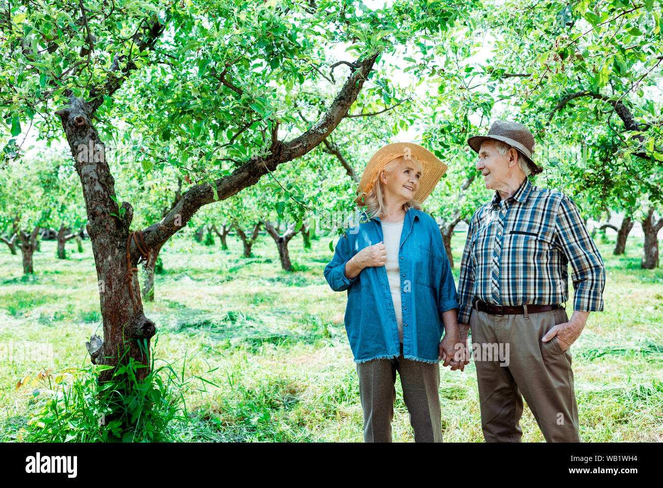 cheerful senior woman holding hands with happy husband standing with ...