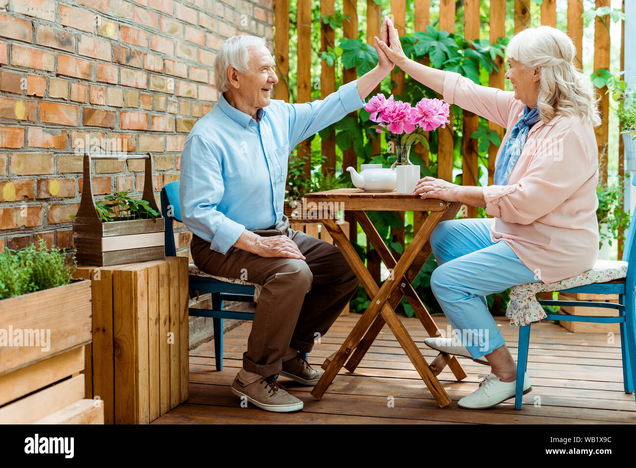 cheerful senior couple giving high five while sitting near pink flowers ...