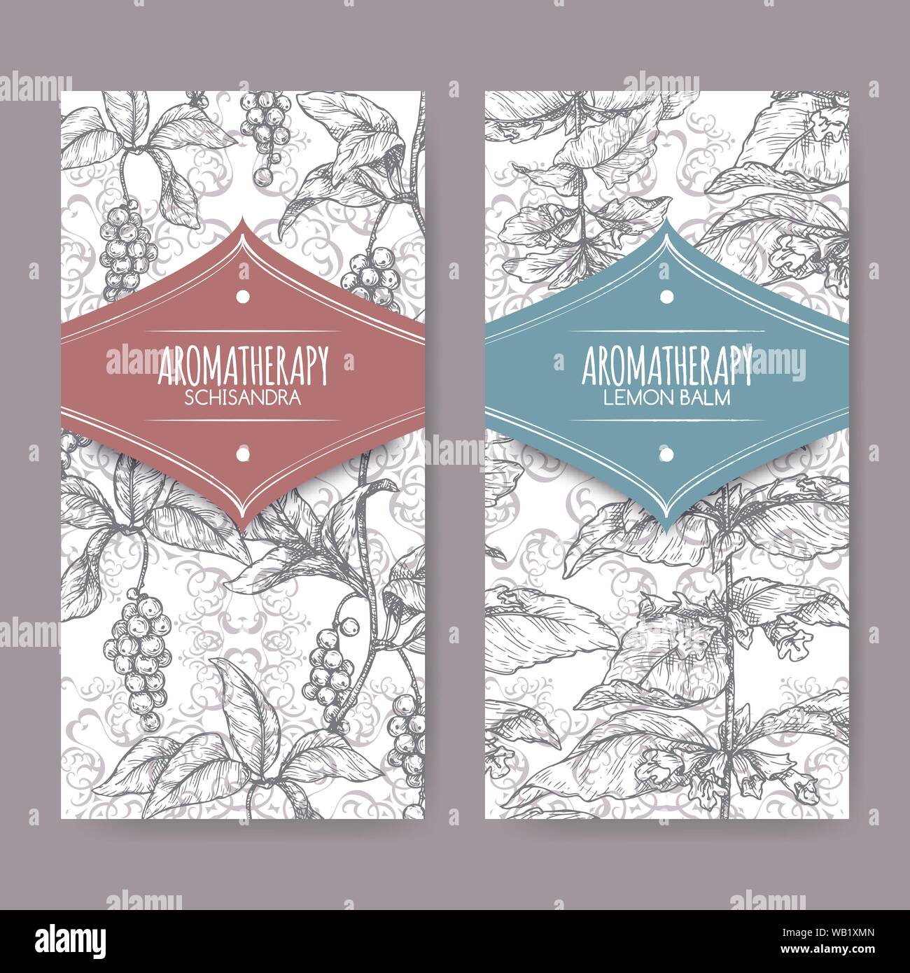 Two labels with Lemon balm aka Melissa officinalis and Schisandra ...