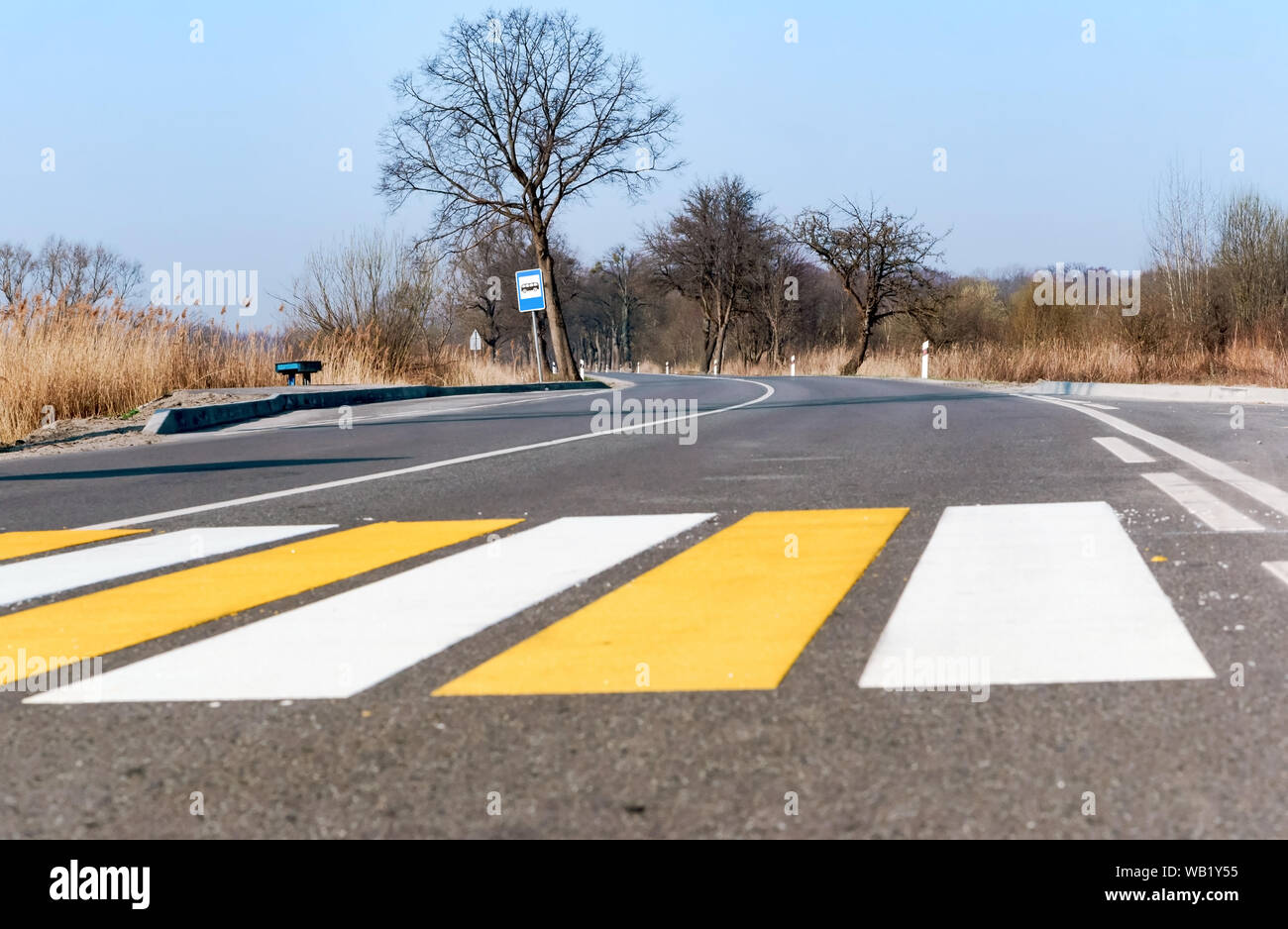 pedestrian crossing strips, yellow and white lines on asphalt Stock ...