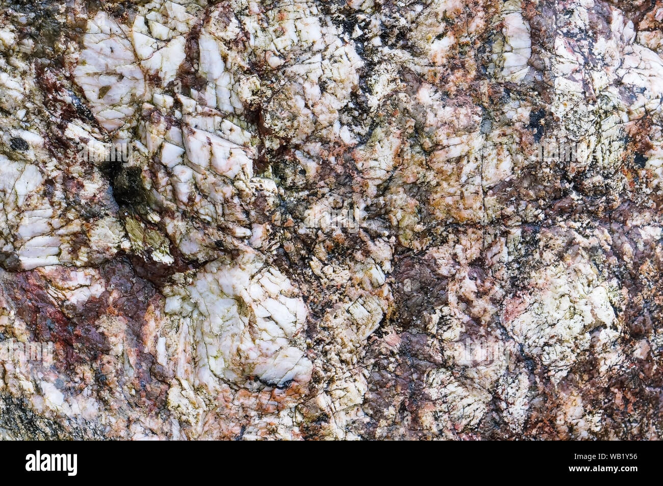 the texture of the stone, sea stone background Stock Photo - Alamy