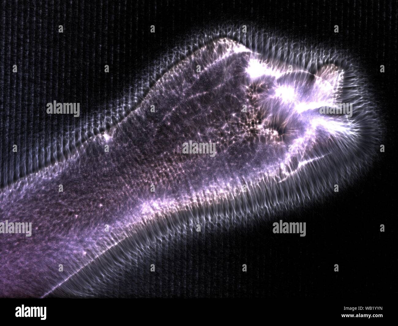 3D-Illustration of a glowing human female hand with a kirlian aura ...