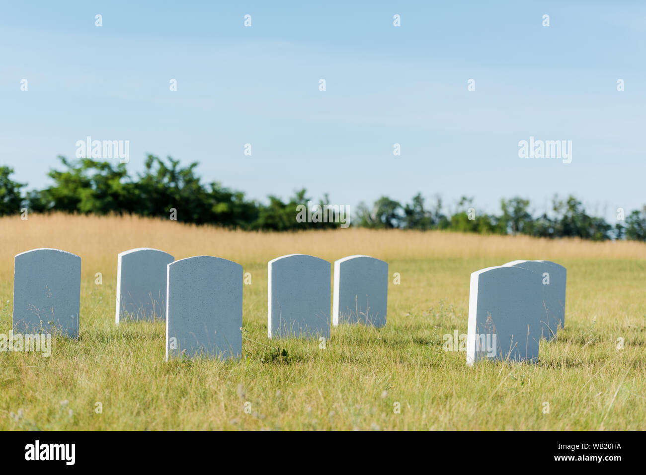 headstones on green grass and blue sky in graveyard Stock Photo - Alamy