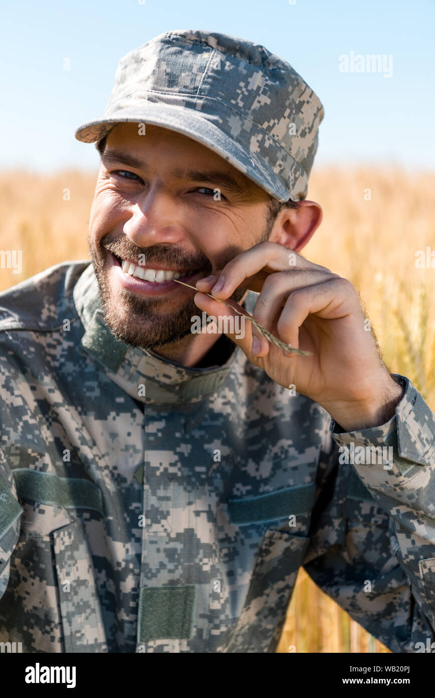 happy soldier in military uniform and cap holding wheat near lips Stock ...