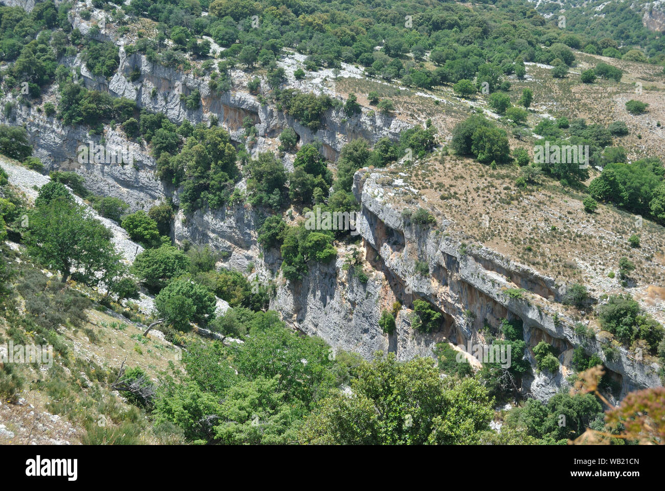 View of Rio Flumineddu canyon Stock Photo - Alamy