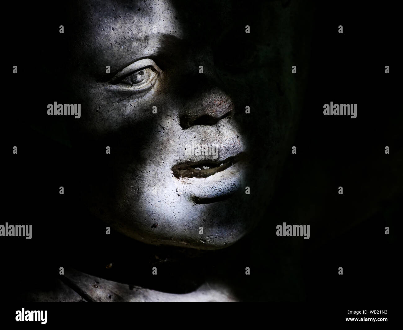 Face in Shadow Stock Photo - Alamy