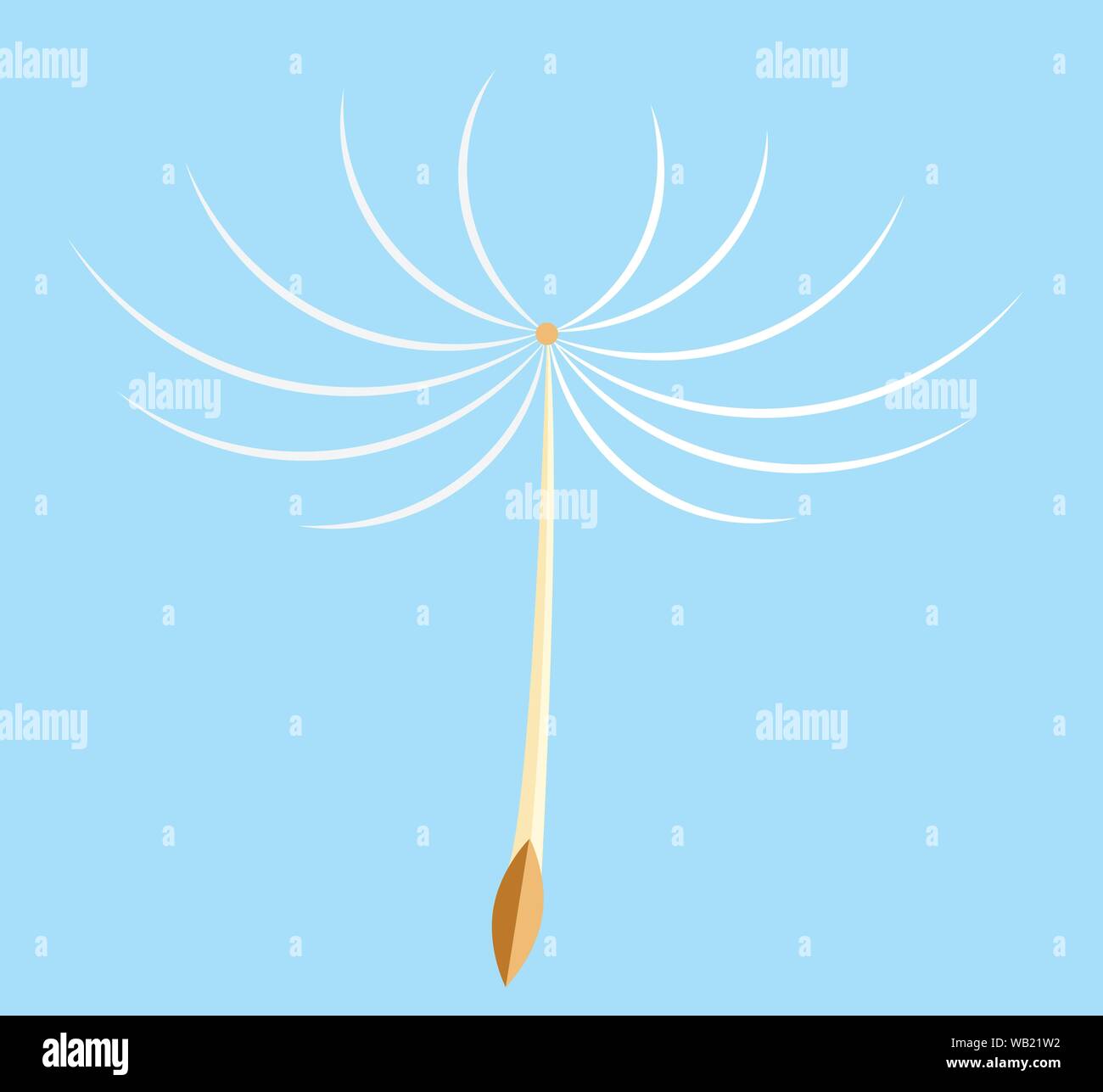 White fluff dandelion flower Stock Vector Images - Alamy