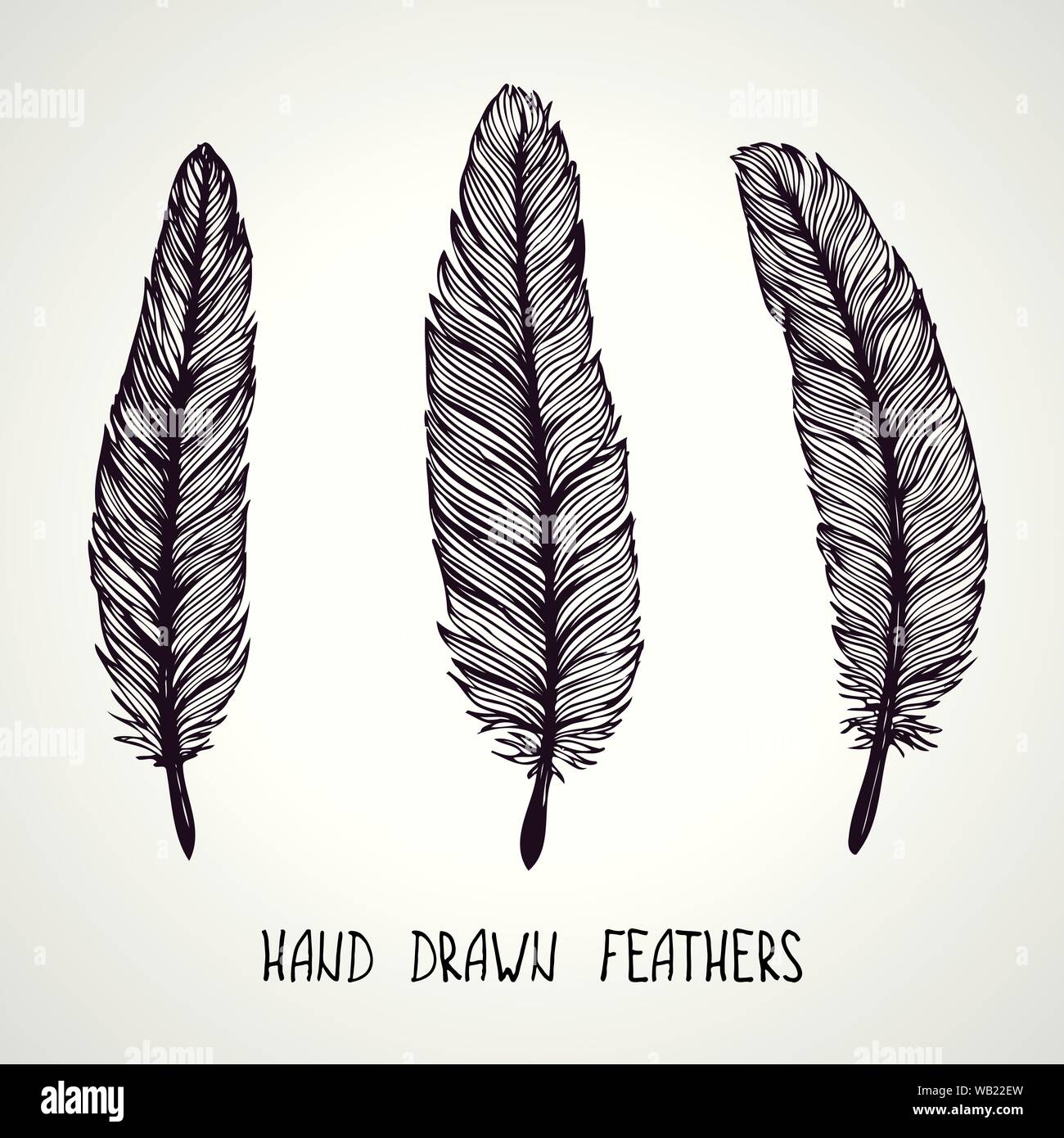 Hand drawn feather isolated on white background. Feather set ...