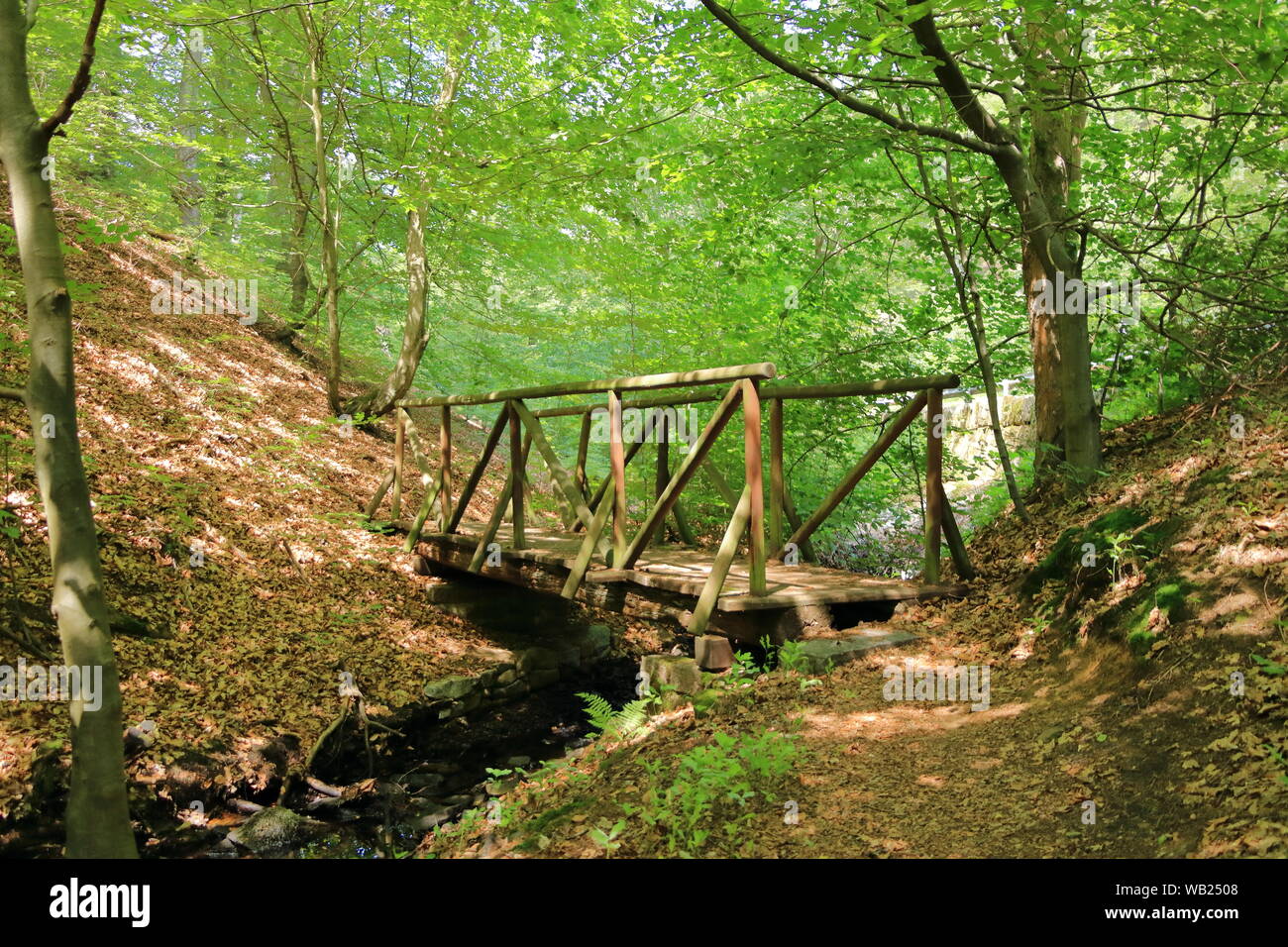 old wooden bridge in a deep forest, natural vintage background Stock ...