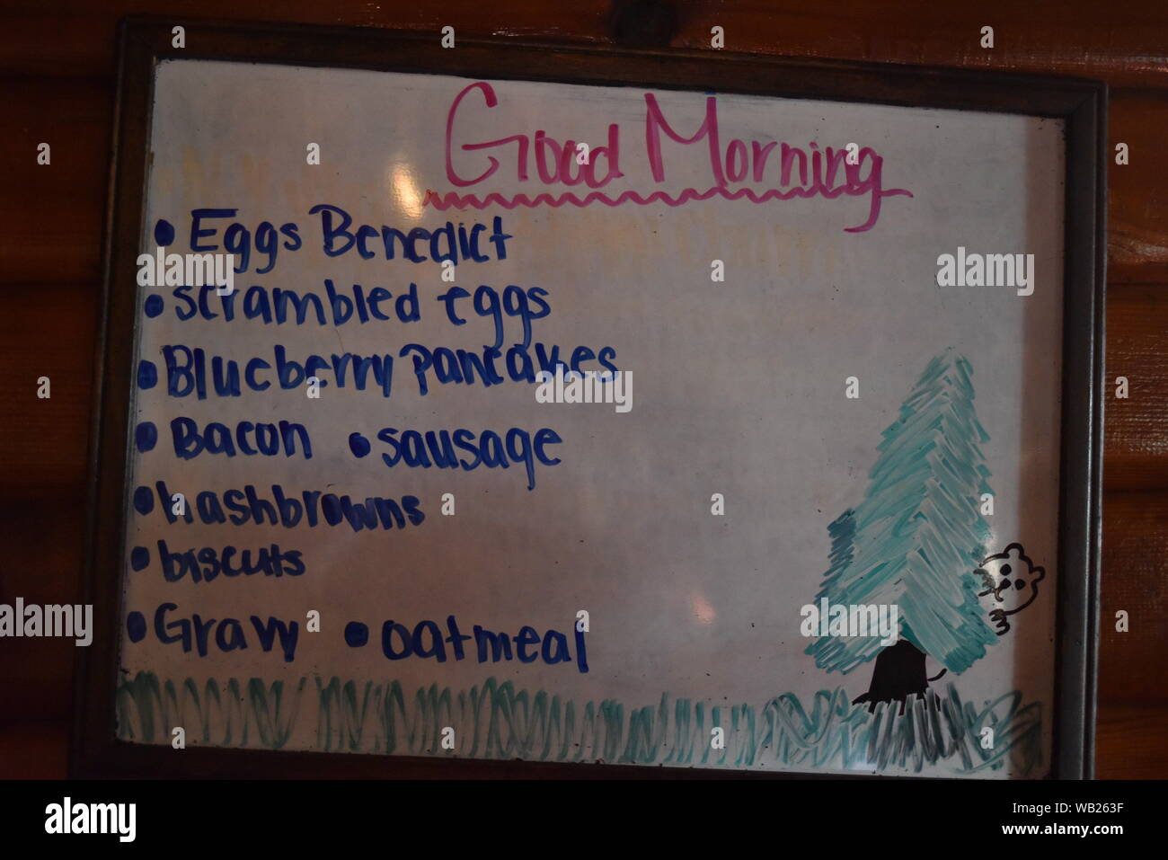 Katmai National Park, Alaska. U.S.A. June 26-28, 2019. Brooks Lodge ...