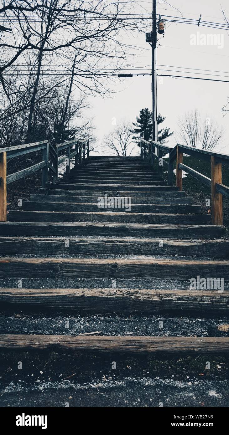 Vertical low angle shot of wooden stairs near trees Stock Photo - Alamy