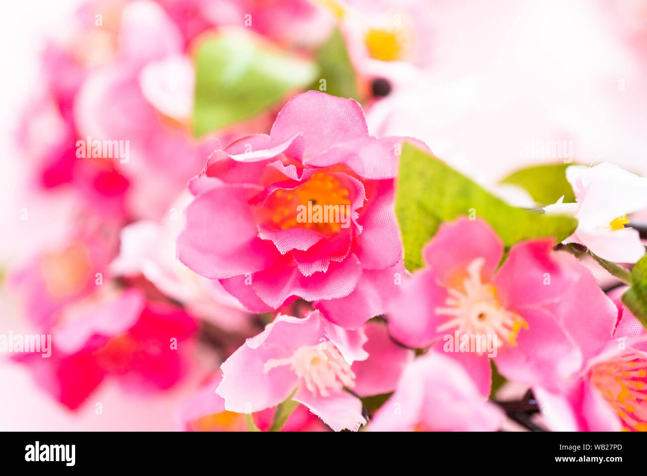 Pink silk flowers on a pink background Stock Photo - Alamy