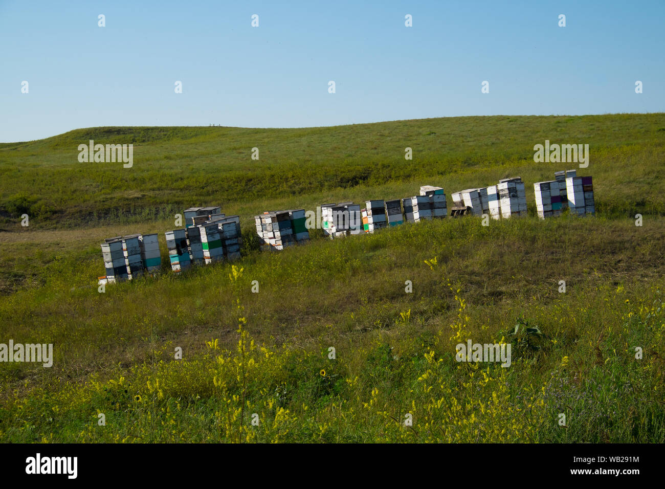 Stacked bee hives hi-res stock photography and images - Alamy