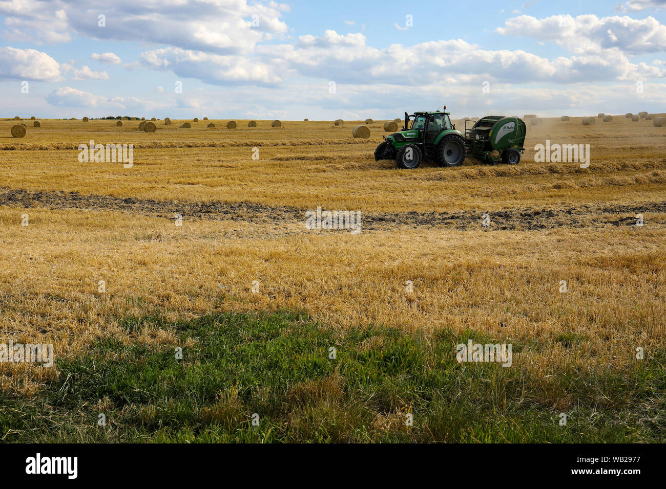 POLAND 2019: tractor and trailer on the field during the harvest in ...