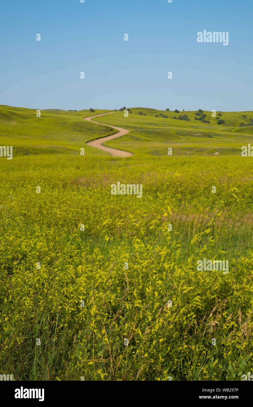 Simple road landscape hi-res stock photography and images - Alamy