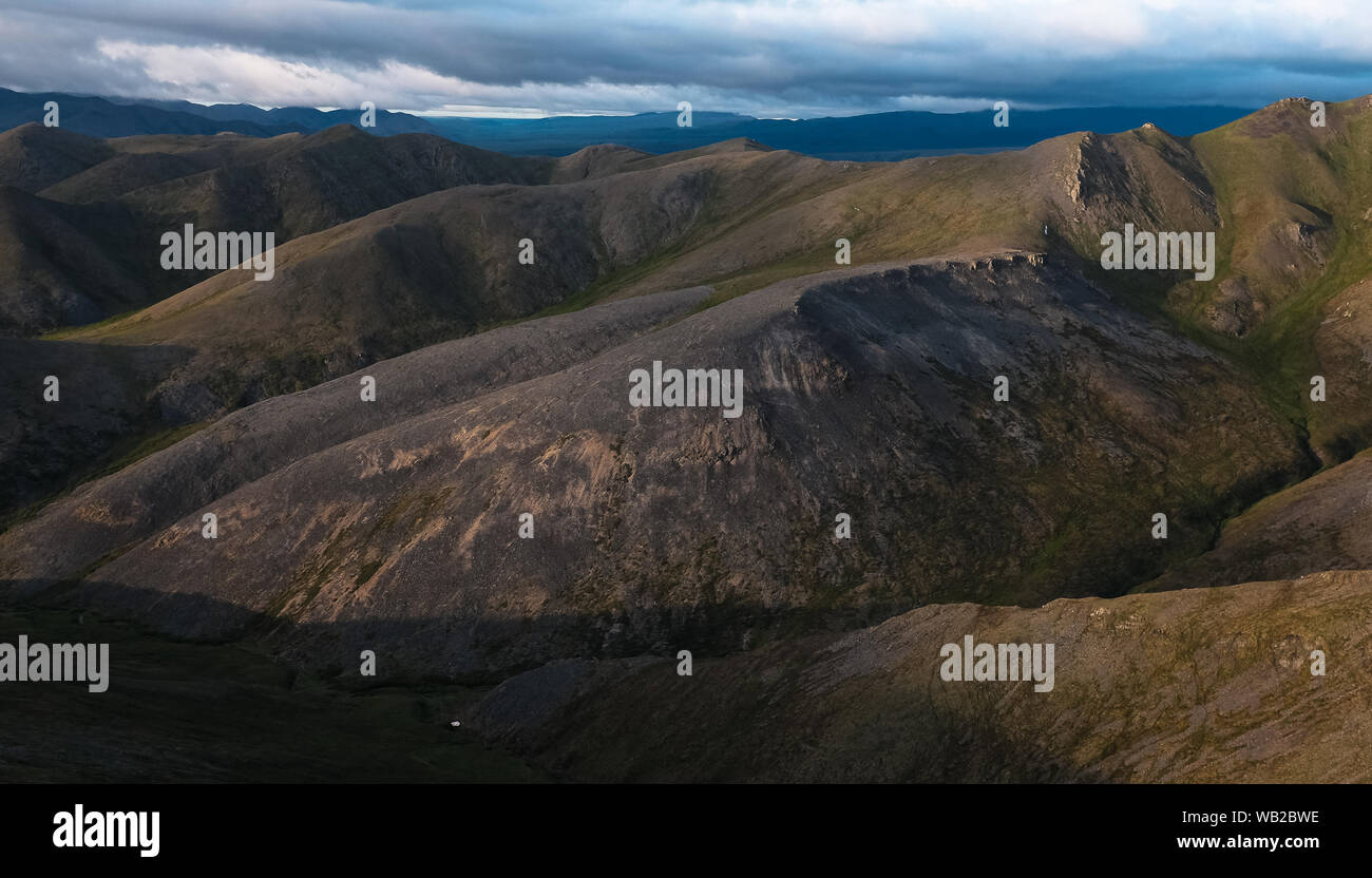 Yukon, Canada - July 23, 2016: The Porcupine Caribou herd summer ...
