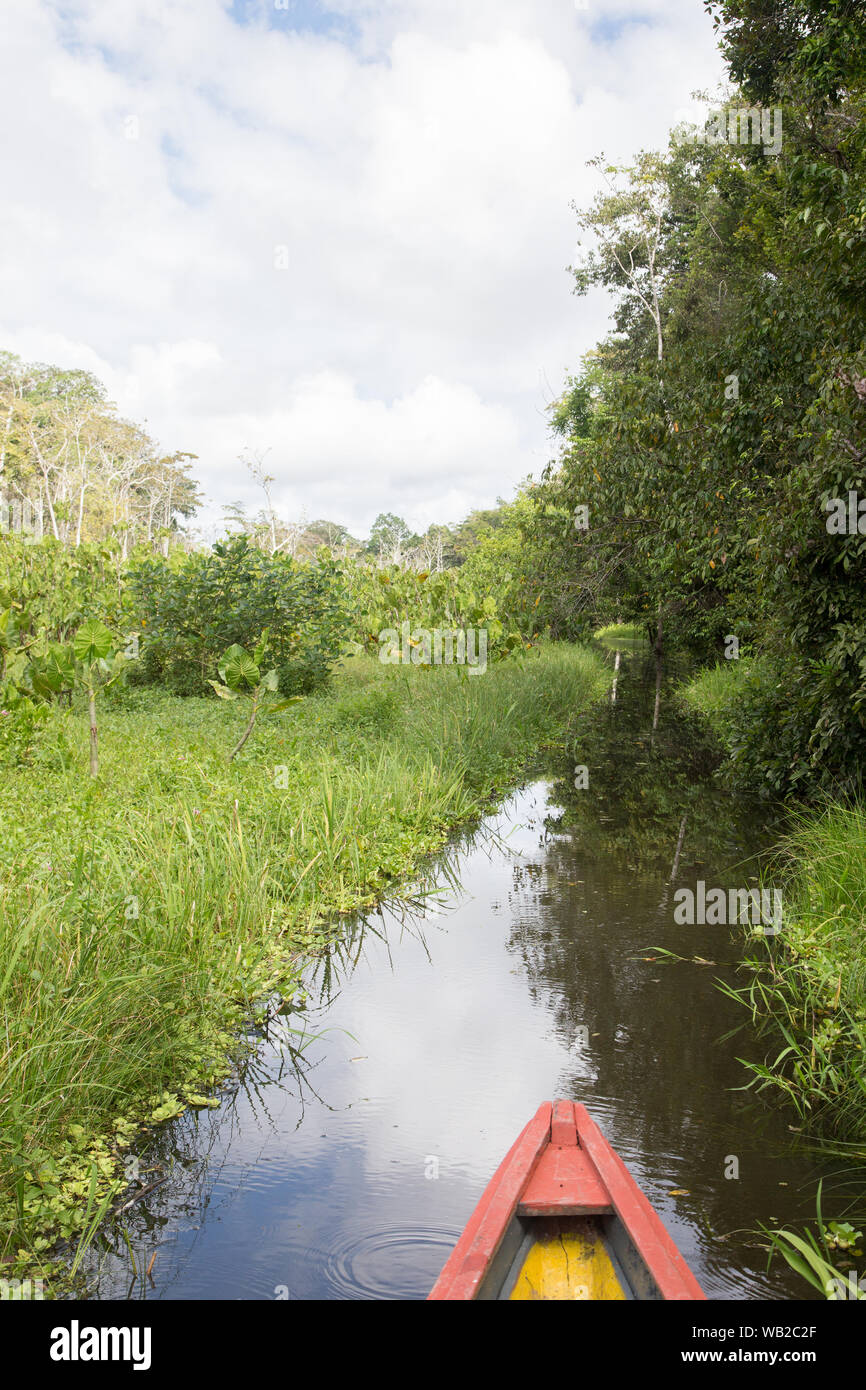 Rowboat on a floated stream in Amazon Stock Photo - Alamy