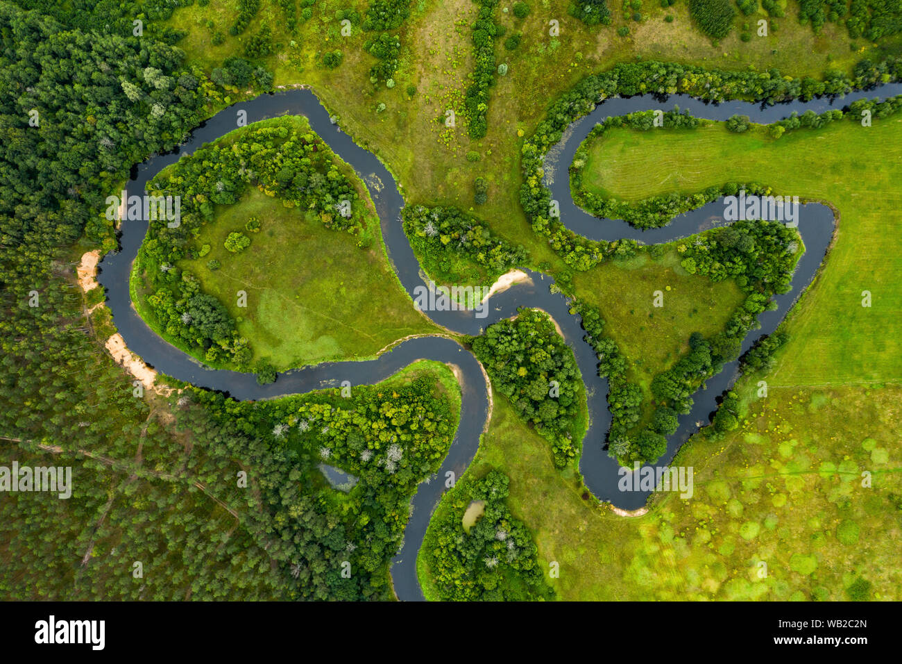 Top view of the beautiful landscape. Green field. Meandering river ...