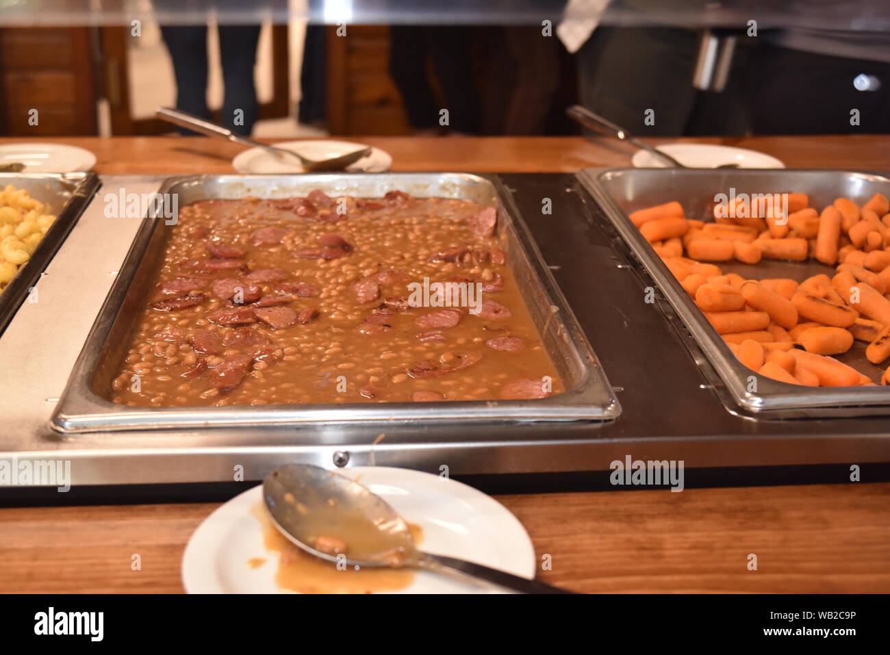 Katmai National Park, Alaska. U.S.A. June 26-28, 2019. Brooks Lodge ...