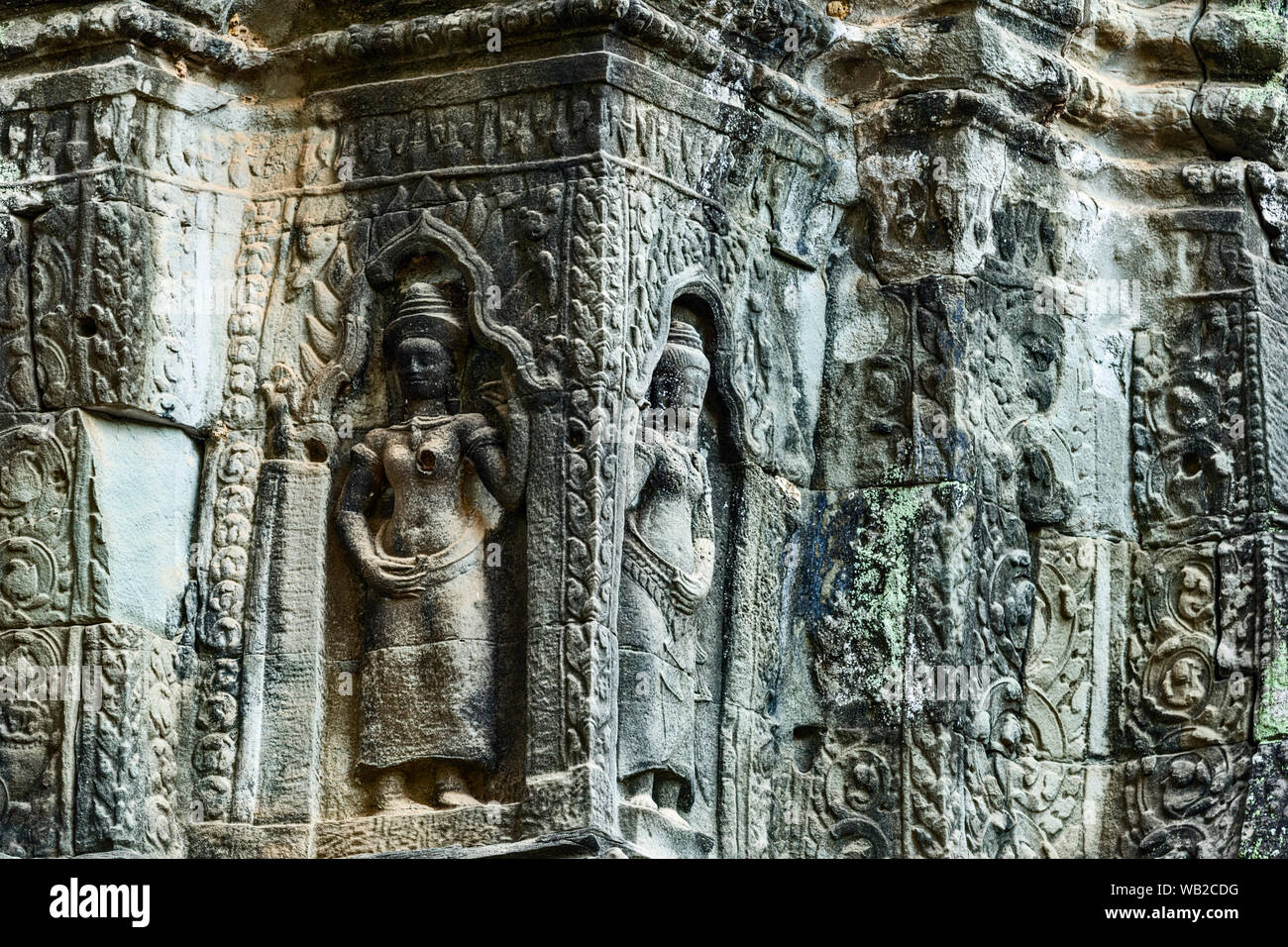 Devata are feminine deities or celestial nymphs with an enigmatic smile ...