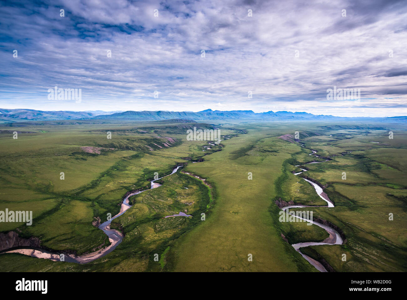 Porcupine caribou migration hi-res stock photography and images - Alamy
