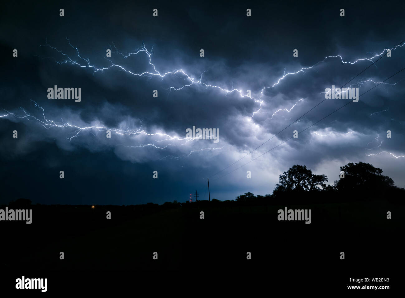 Multiple forked and branched lightning bolts in the sky over ...