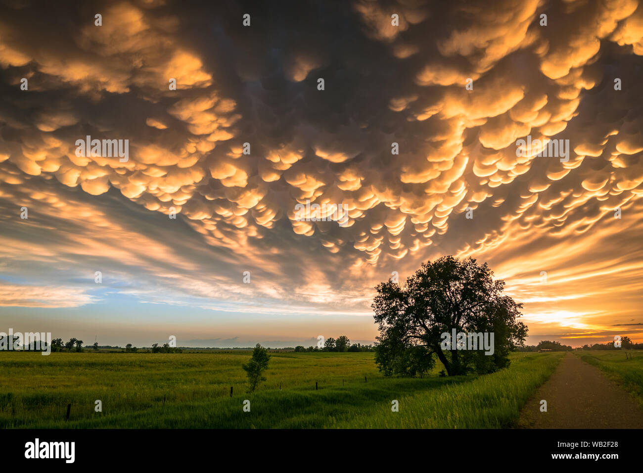 Supercell storm clouds hi-res stock photography and images - Alamy