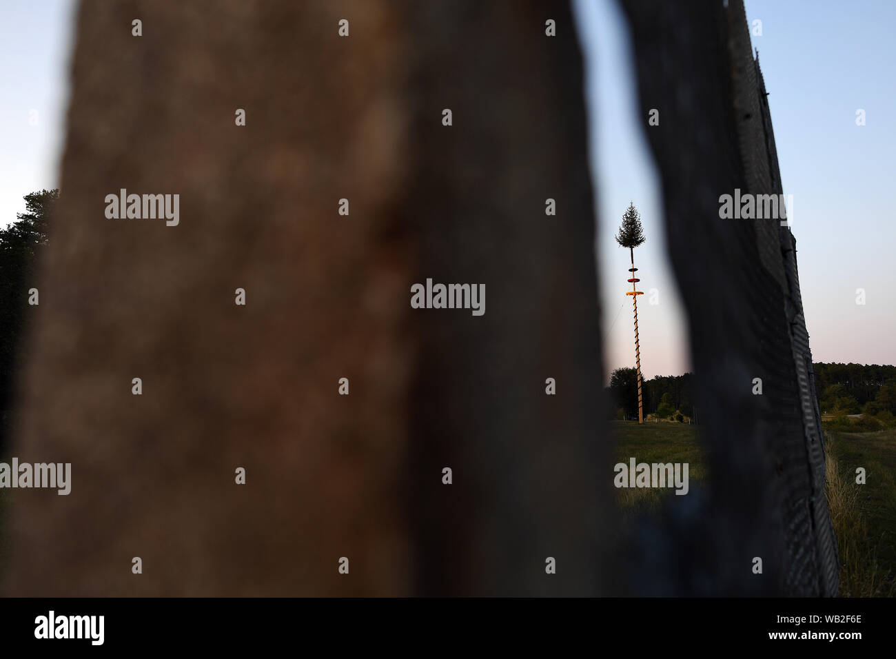 Geisa, Germany. 23rd Aug, 2019. A maypole specially erected for the ...