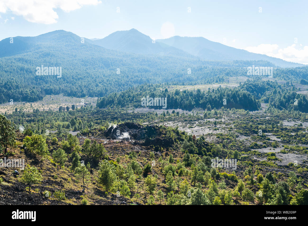 Paricutin volcano in Michoacan-Mexico Stock Photo - Alamy