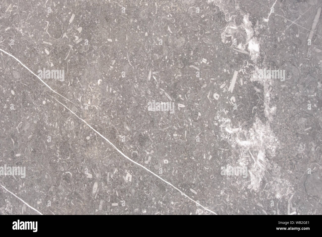 The structure of natural concrete with white veins. The texture of gray ...