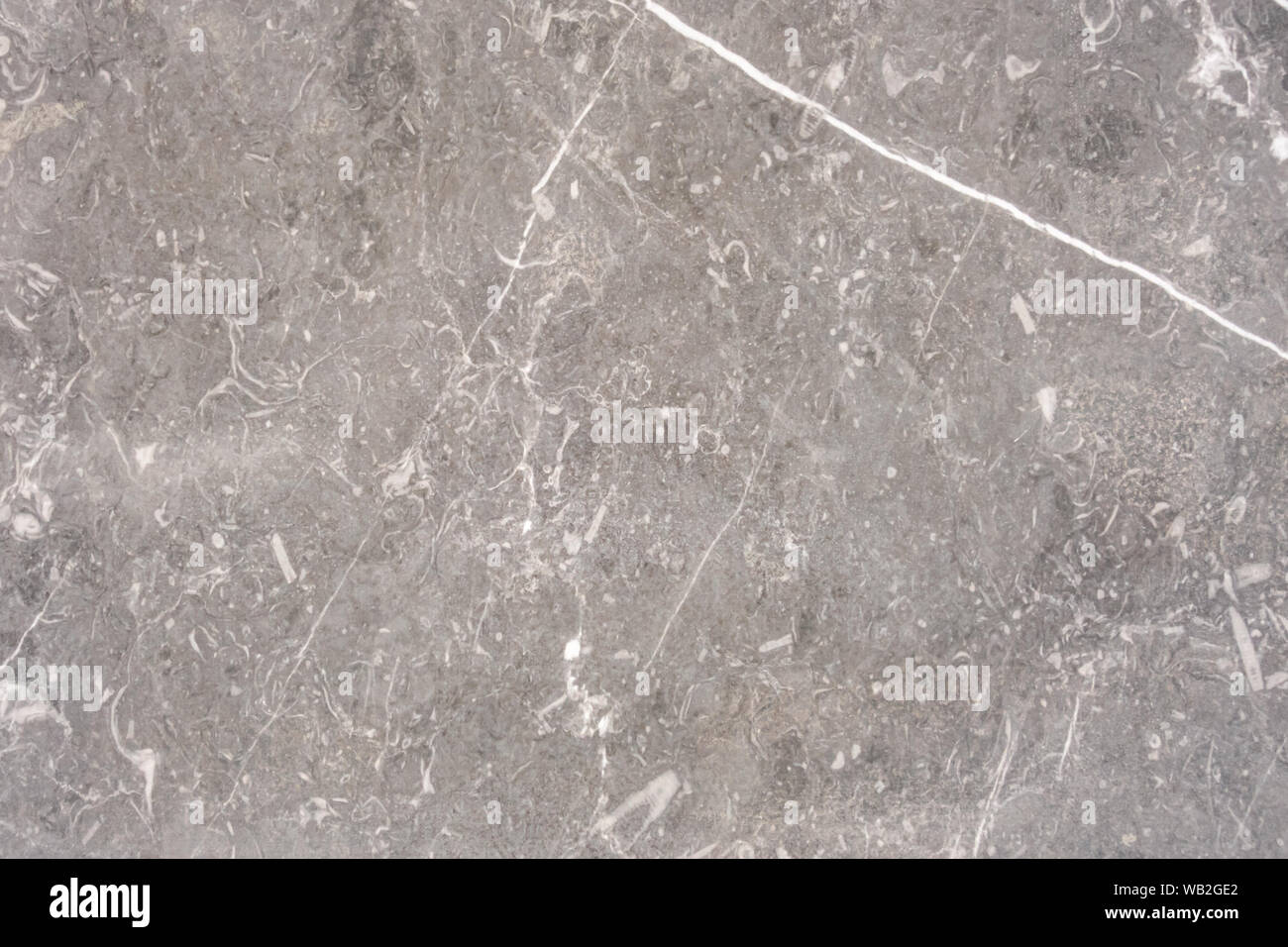 The structure of natural concrete with white veins. The texture of gray ...
