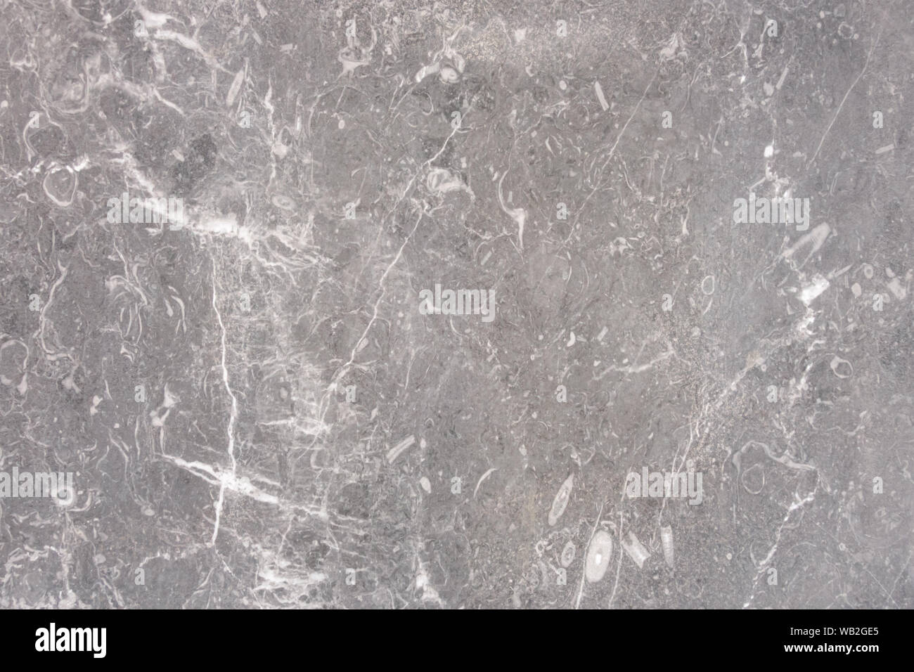 The structure of natural concrete with white veins. The texture of gray ...