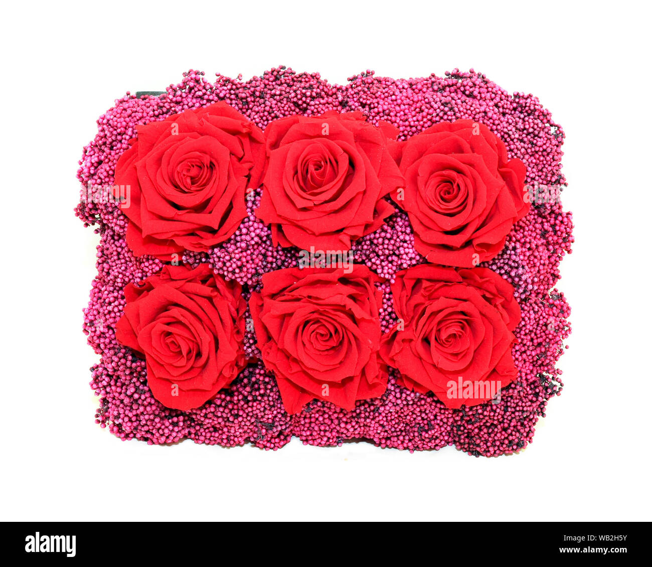 Six petal flower Cut Out Stock Images & Pictures - Alamy