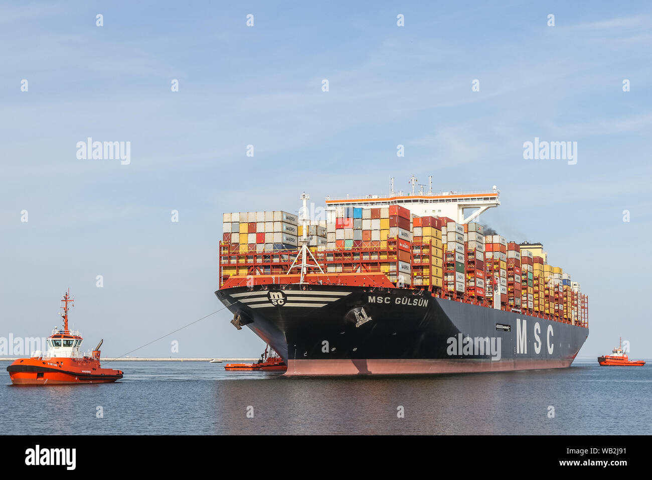 Gdansk, Poland. 23rd, August 2019 MSC Gulsun, current the world's ...