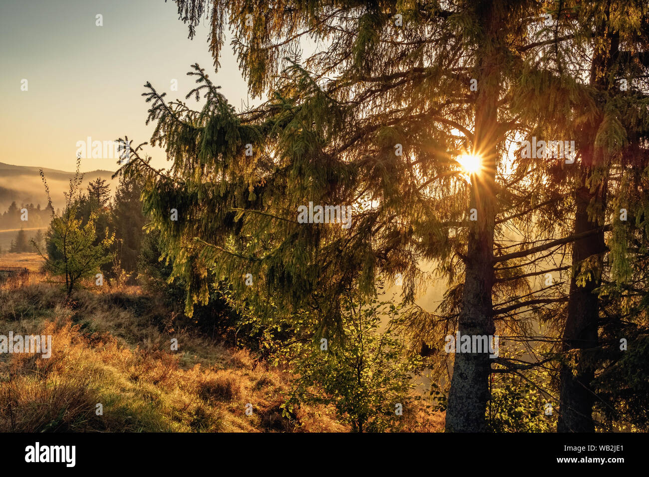 Carpathian landscapes High Resolution Stock Photography and Images - Alamy