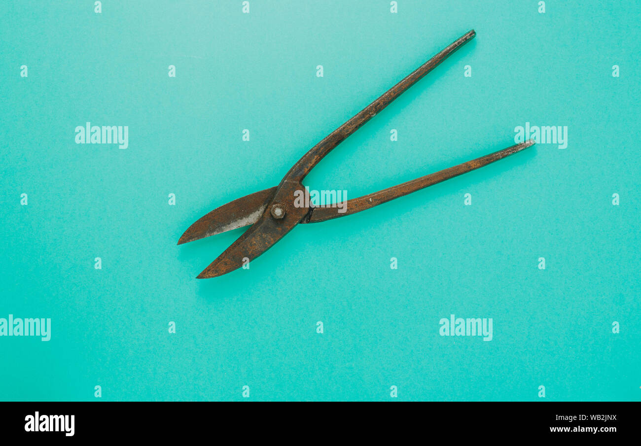 Old metal shears placed on electric green background. Flat layout Stock ...