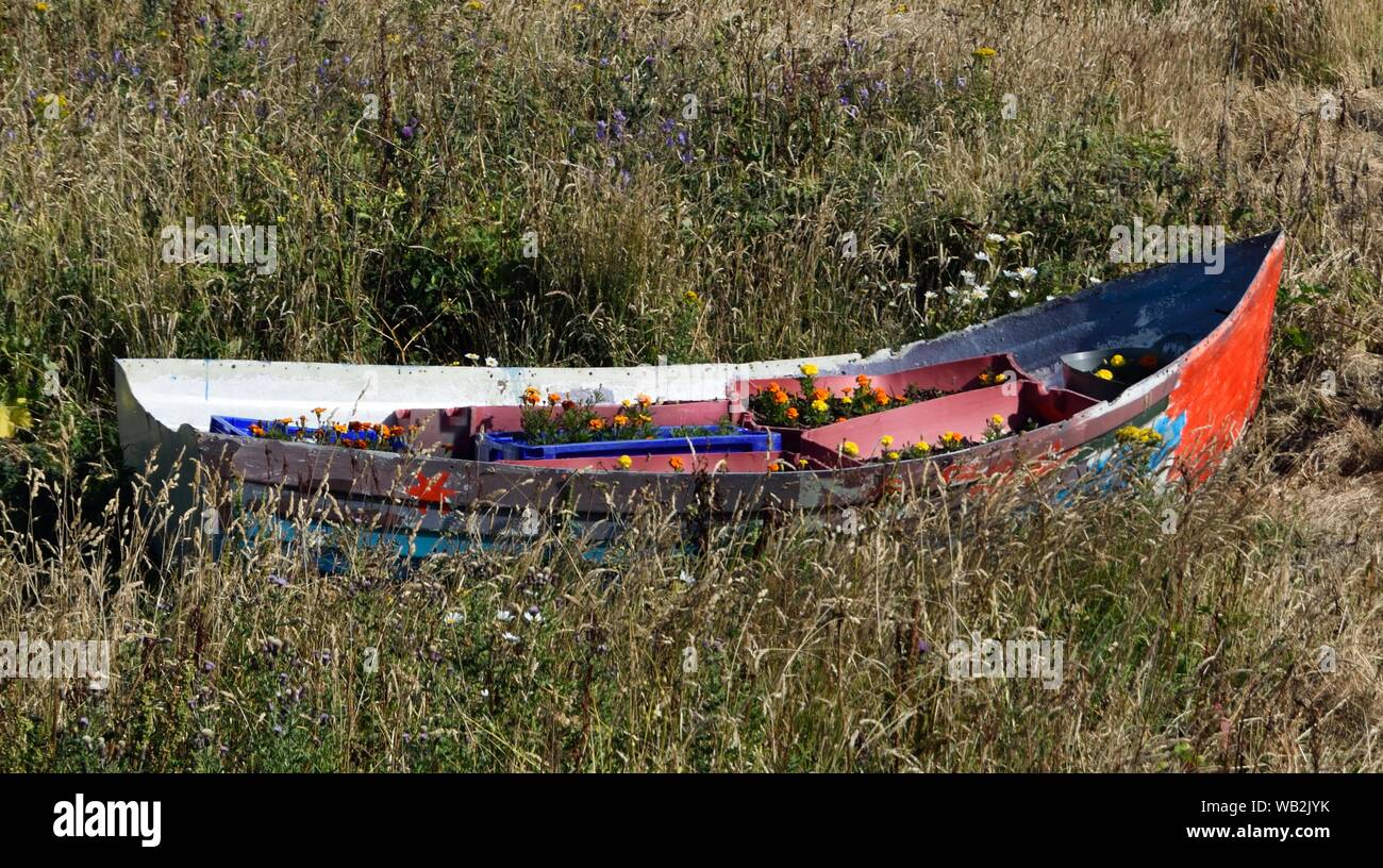 (G)rowing boa t-Rowing boat used to grow plants Stock Photo - Alamy
