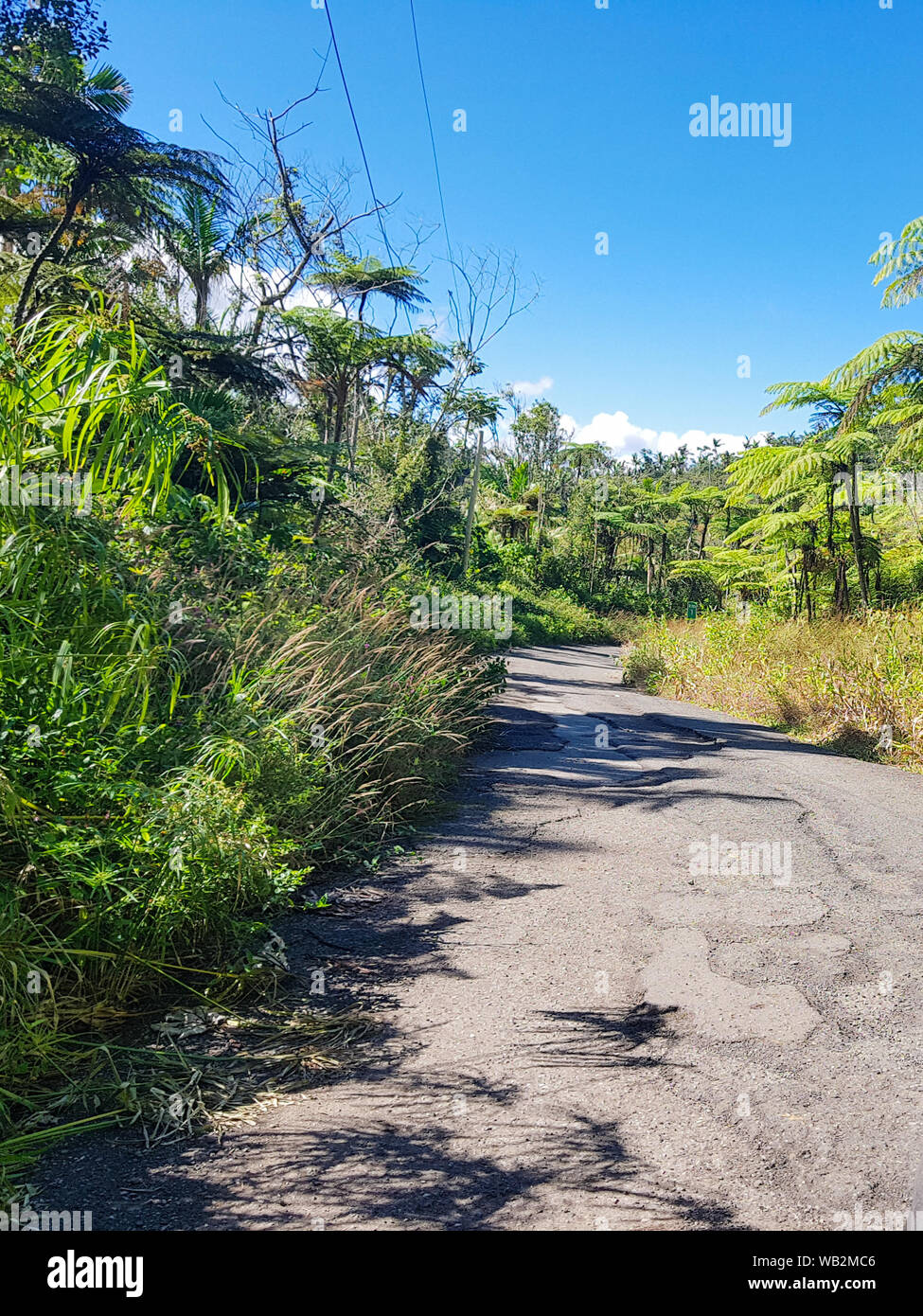Ruta panoramica road in Puerto Rico. USA. this road is little used by ...