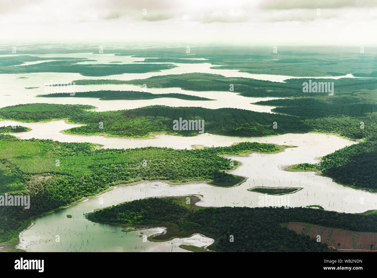 Landscape aerial view of colorful Amazon rivers, forest, jungle, and ...