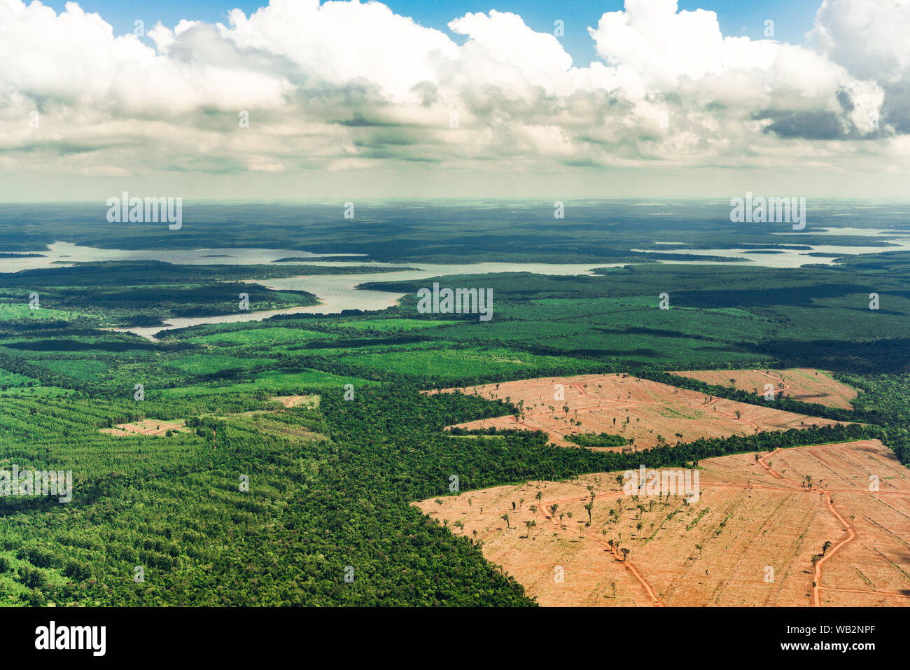 Landscape aerial view of colorful Amazon rivers, forest, jungle, and ...