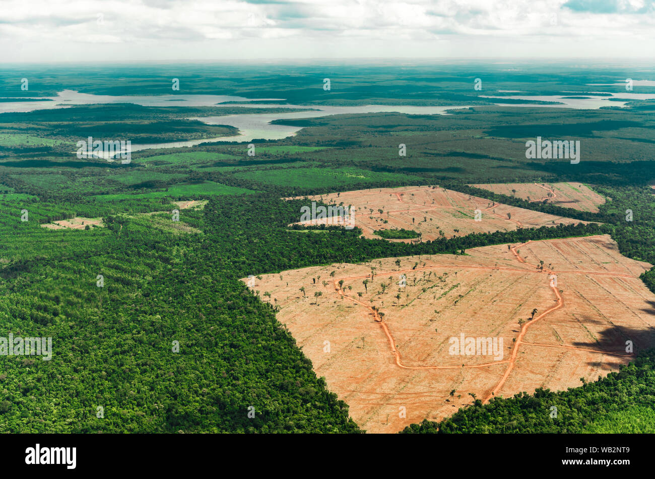 Landscape aerial view of colorful Amazon rivers, forest, jungle, and ...