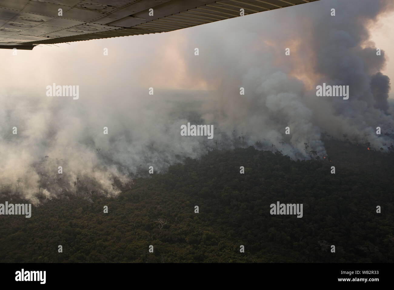 Amazon rainforest fires aerial 2019 hi-res stock photography and images ...