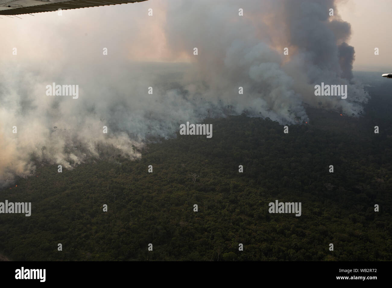 Amazon rainforest fires aerial 2019 hi-res stock photography and images ...