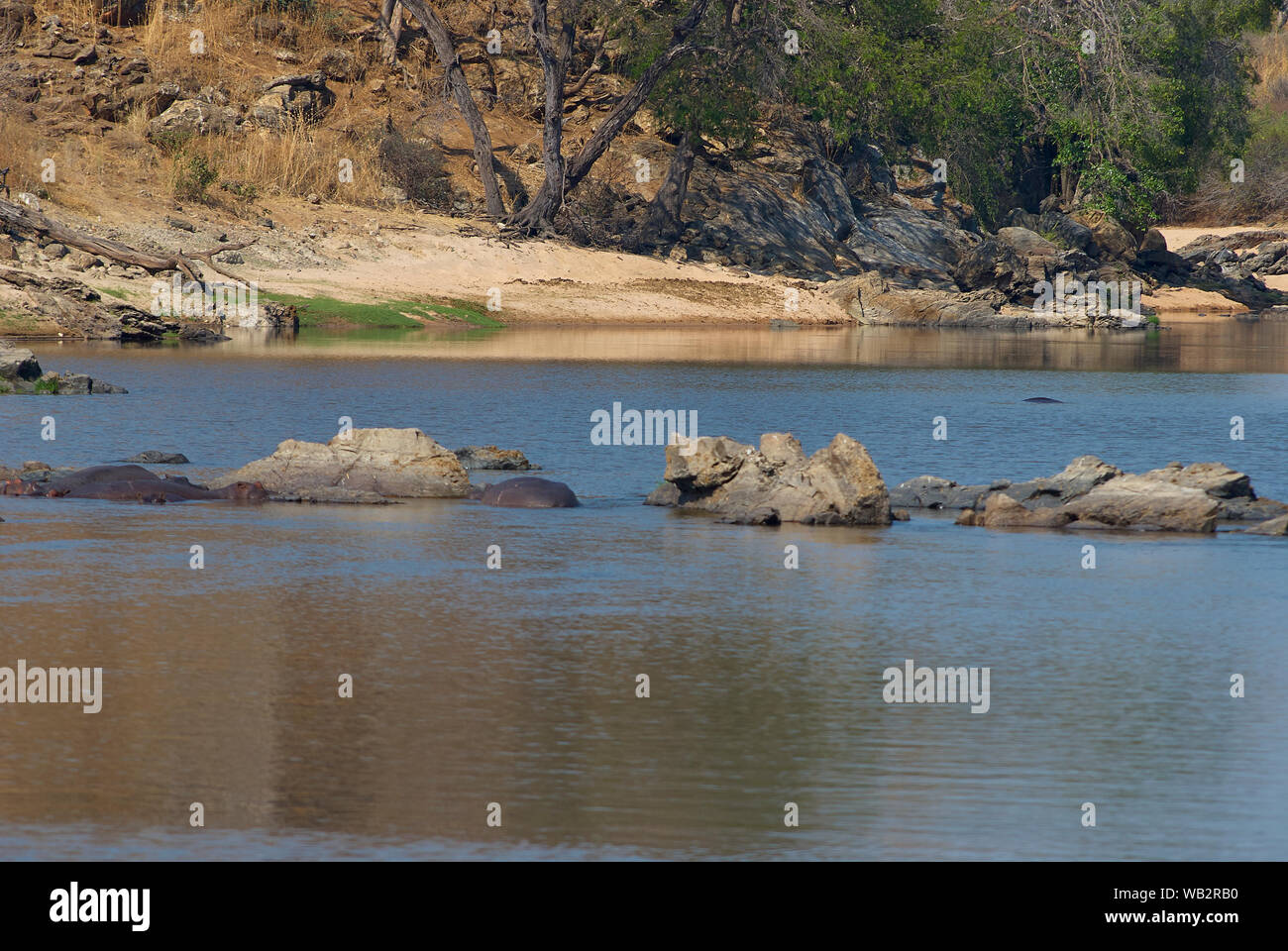 Ruaha river low water hi-res stock photography and images - Alamy