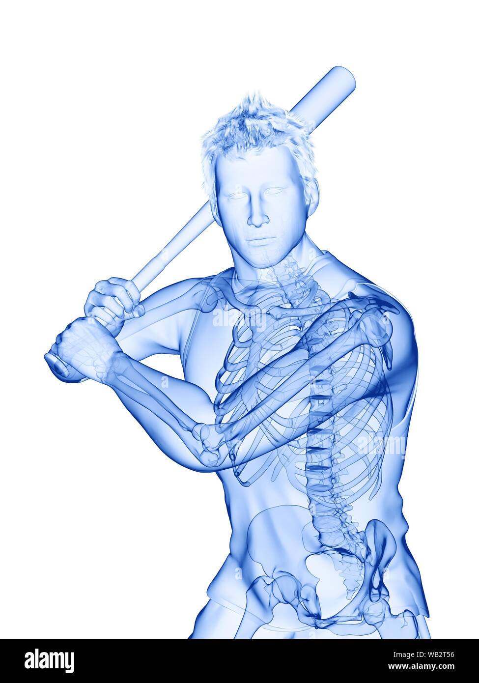 Baseball player's skeleton, computer illustration Stock Photo - Alamy