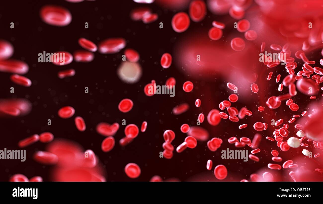 Blood cells, computer illustration Stock Photo - Alamy